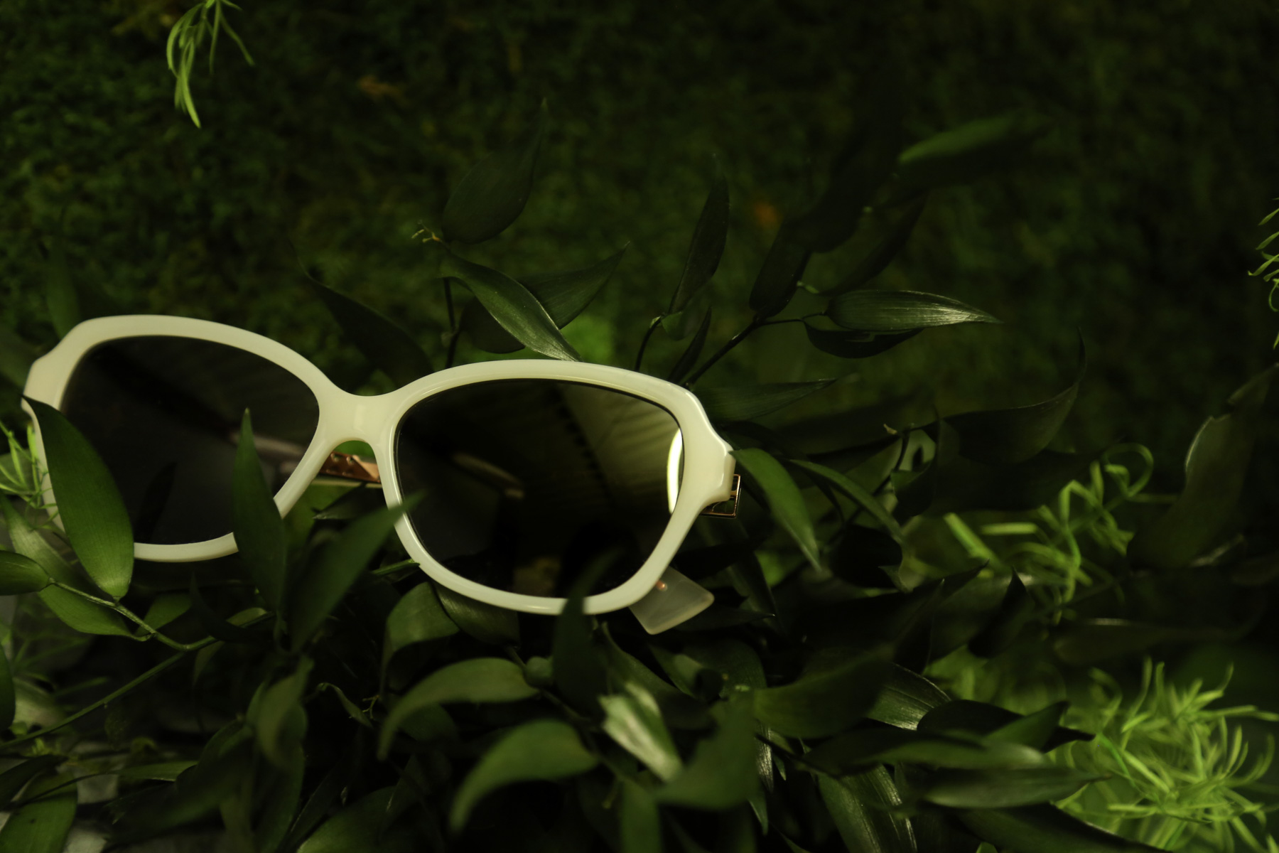 Dior | Brandsdistribution