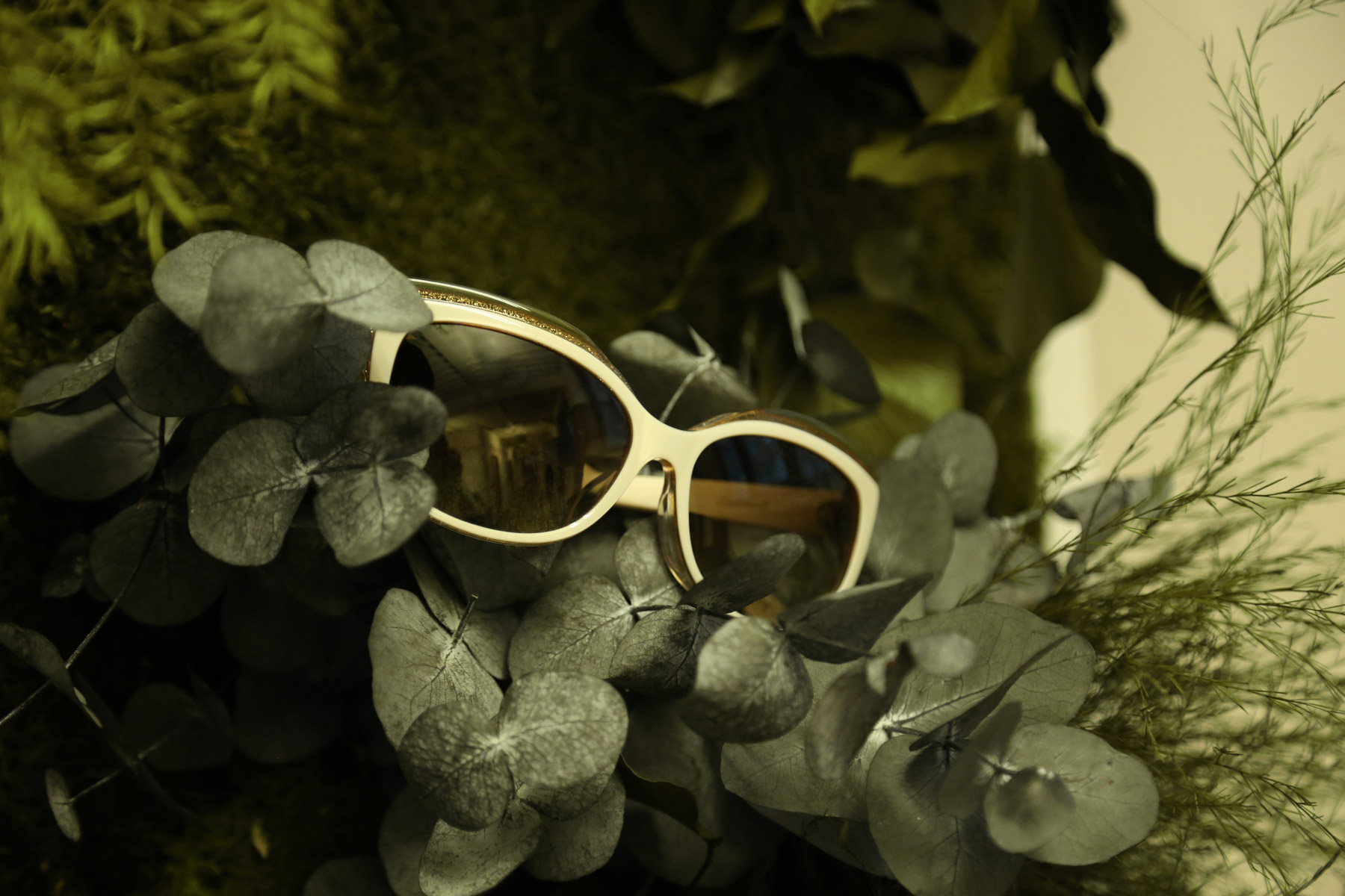 Dior | Brandsdistribution