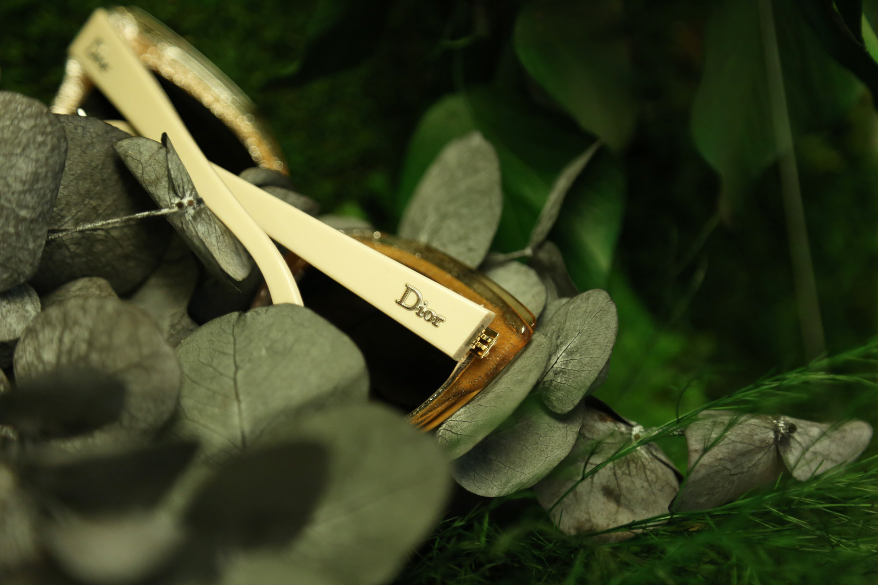 Dior | Brandsdistribution