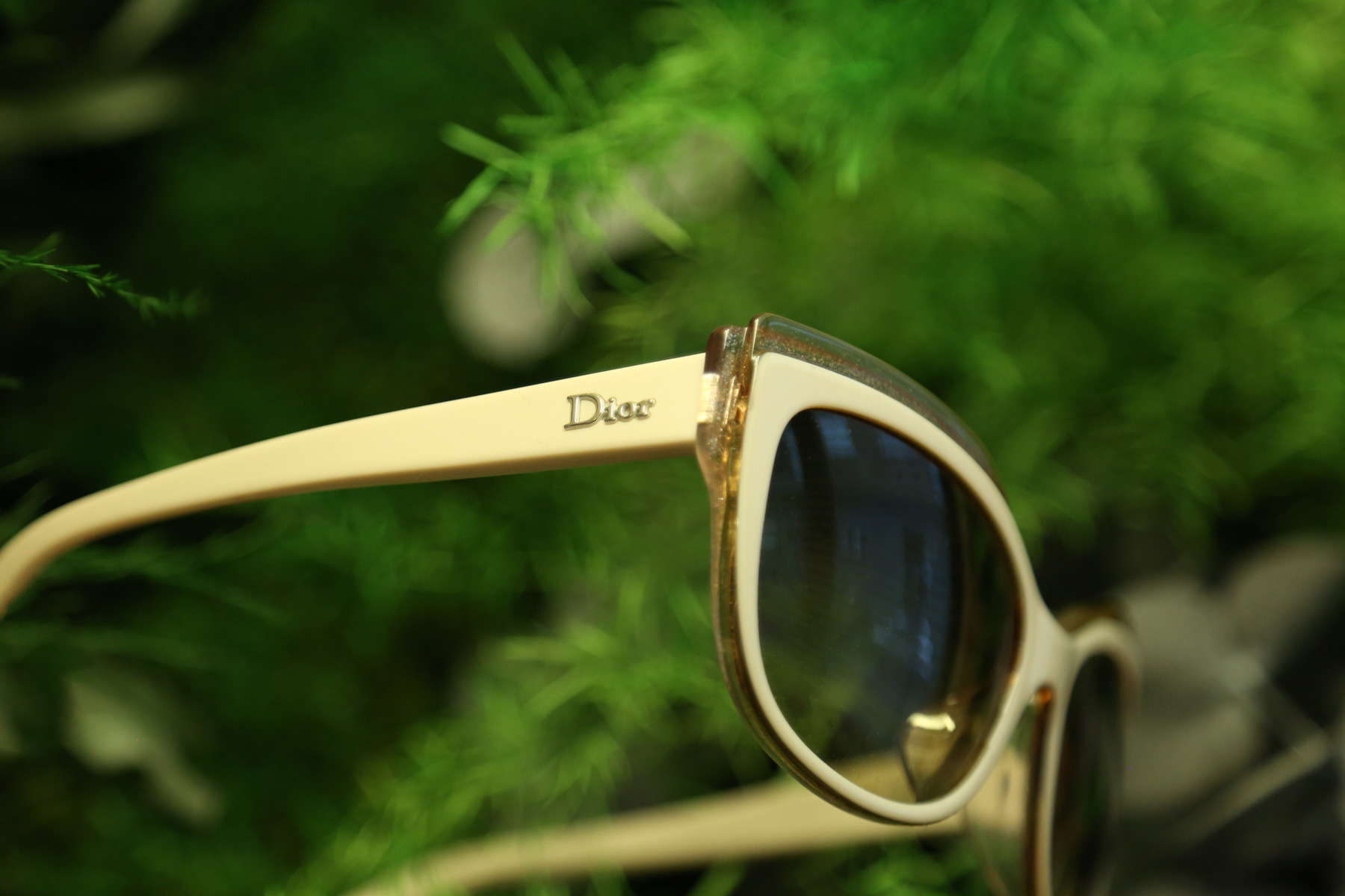 Dior | Brandsdistribution