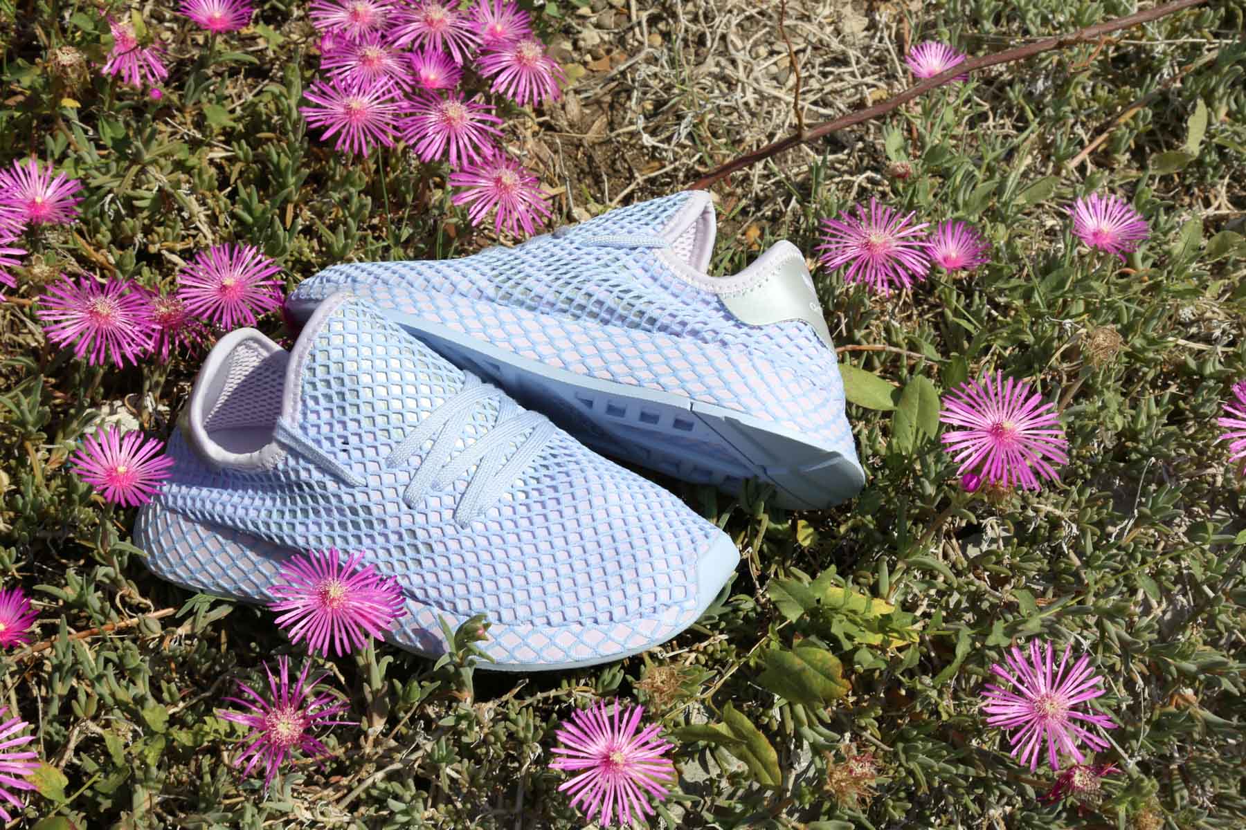 Adidas | Brandsdistribution