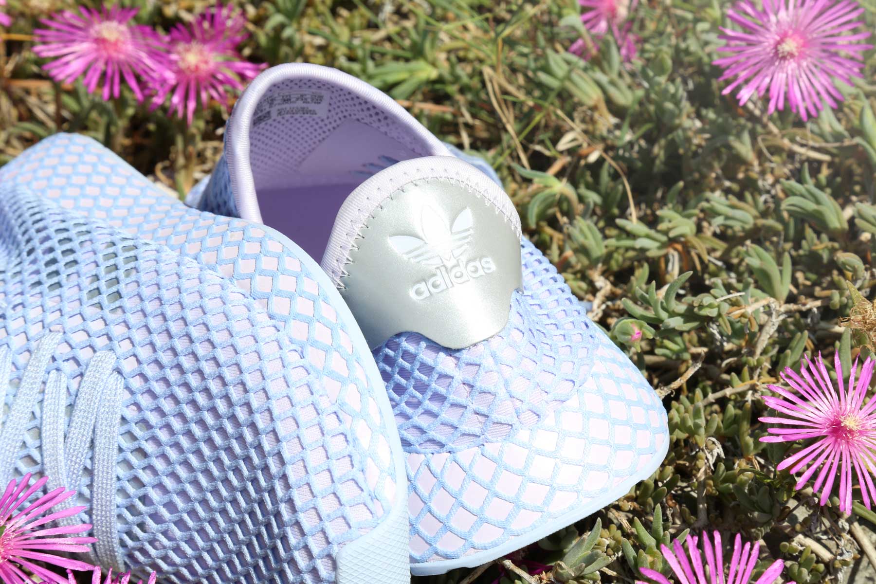 Adidas | Brandsdistribution