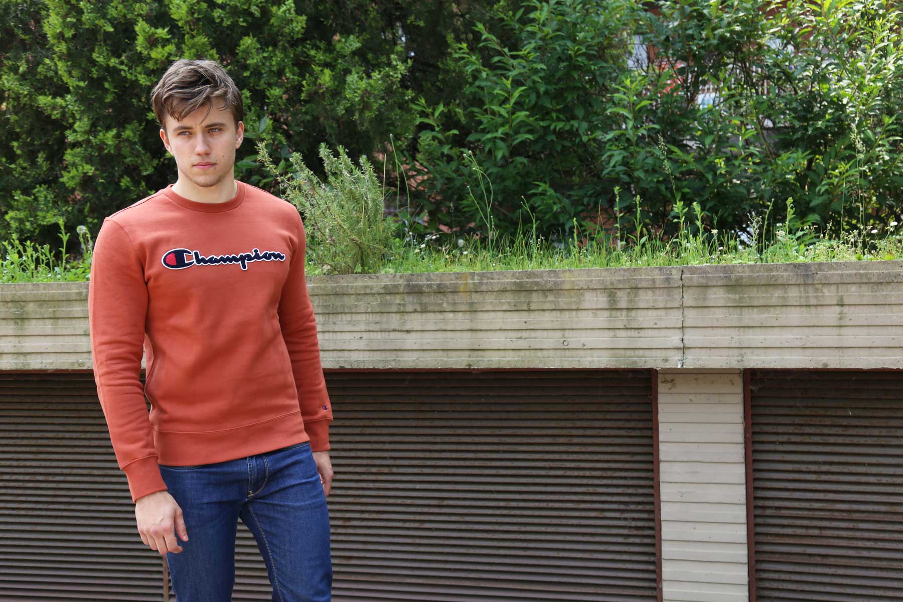 Champion | Brandsdistribution